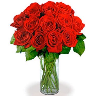 Send 12 Extra Long Stemmed Red Roses to Canada | ExpressGiftService